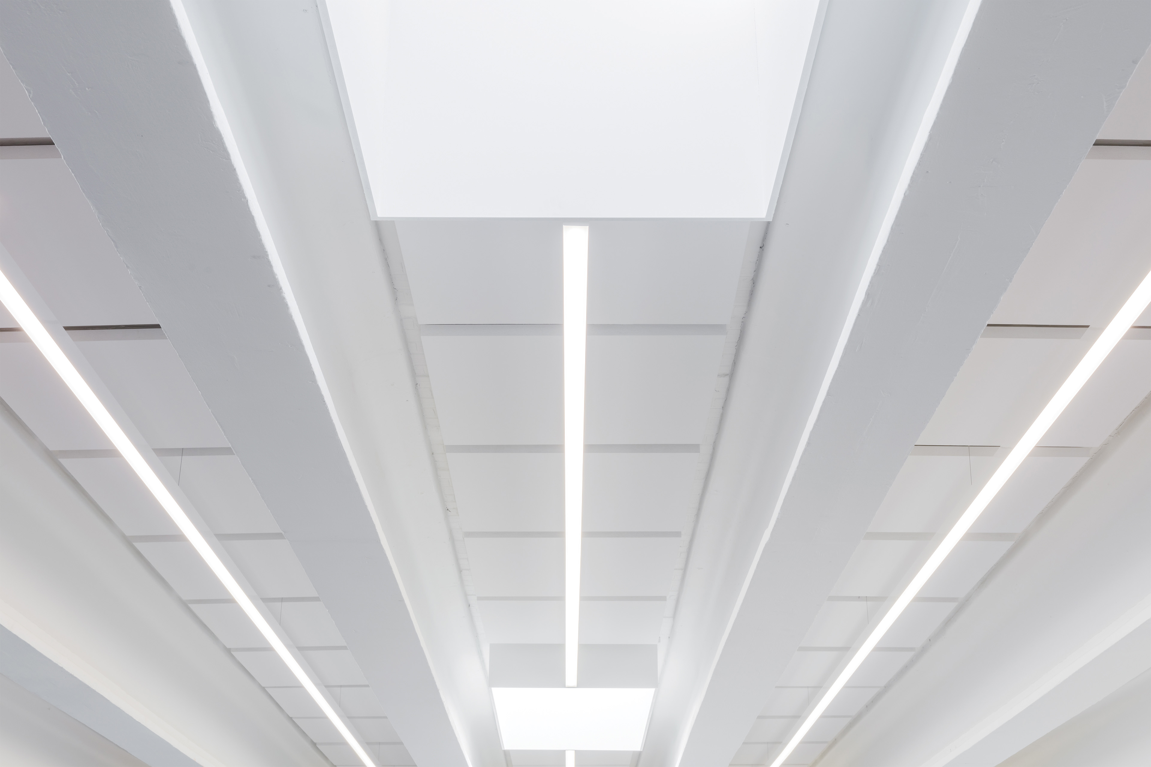 Multiline | Rectoraat UGent