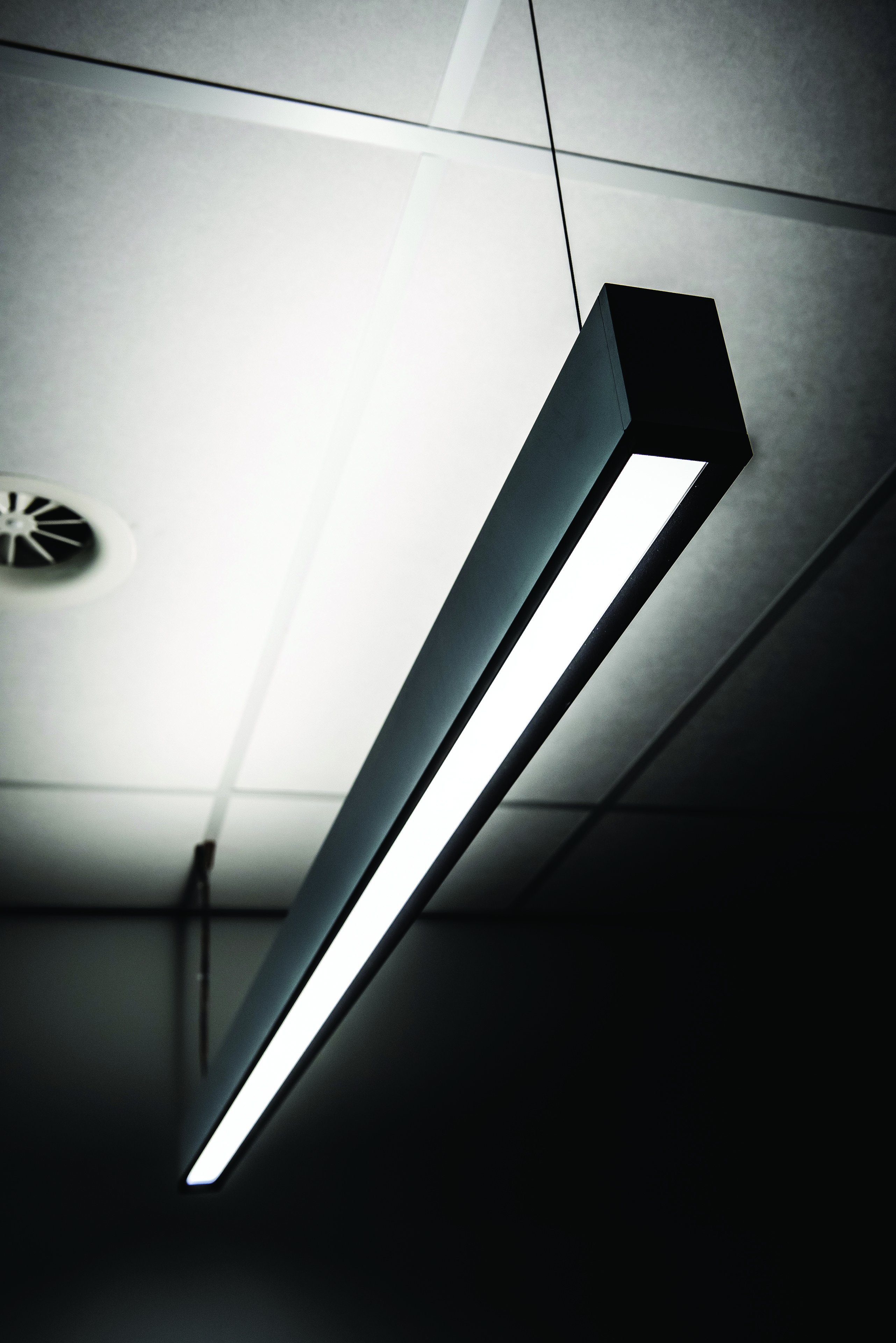 Multiline | Thinkwise