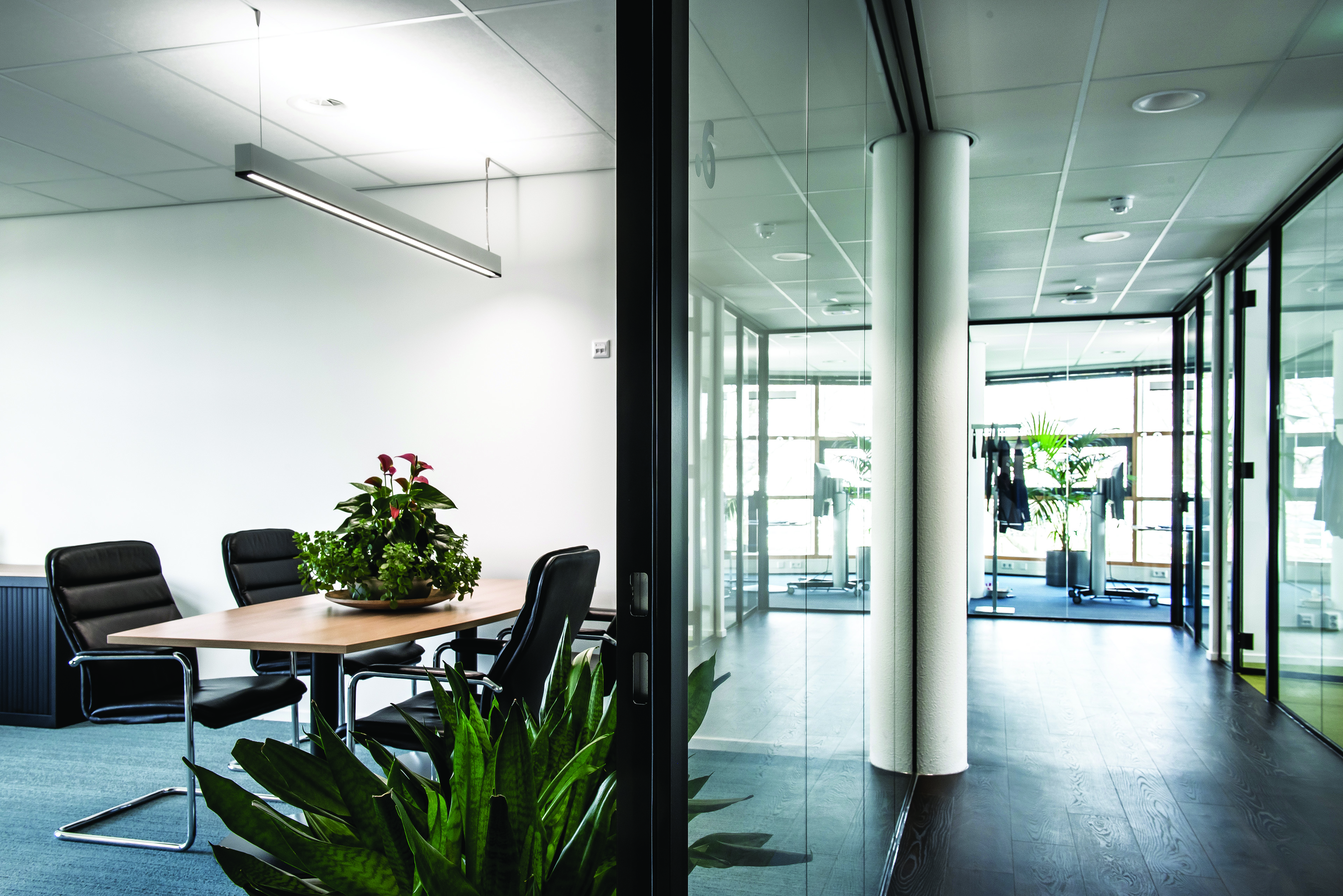 Multiline | Thinkwise